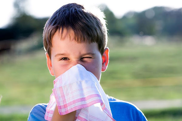 5 Ways to Cope With Spring Pollen Allergies - Oak Brook Allergists